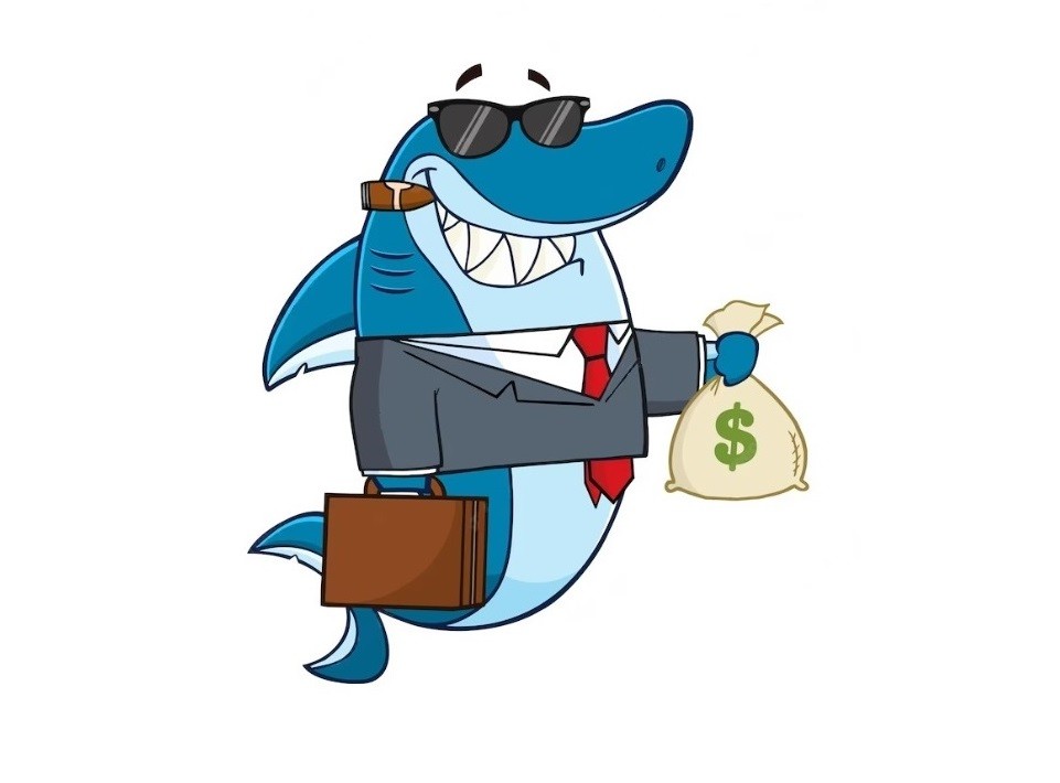 Money Hunter - Exness Social Trading